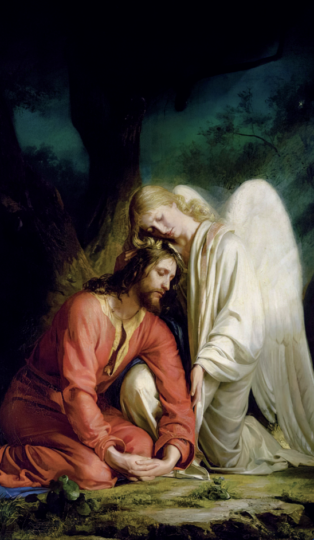 Minha Biblioteca Católica